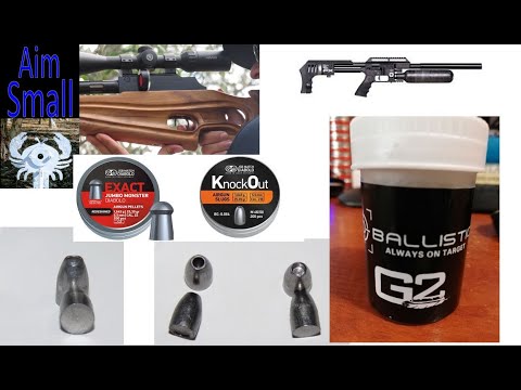 G2 slugs up for review and test against JSB Knockou... Video
