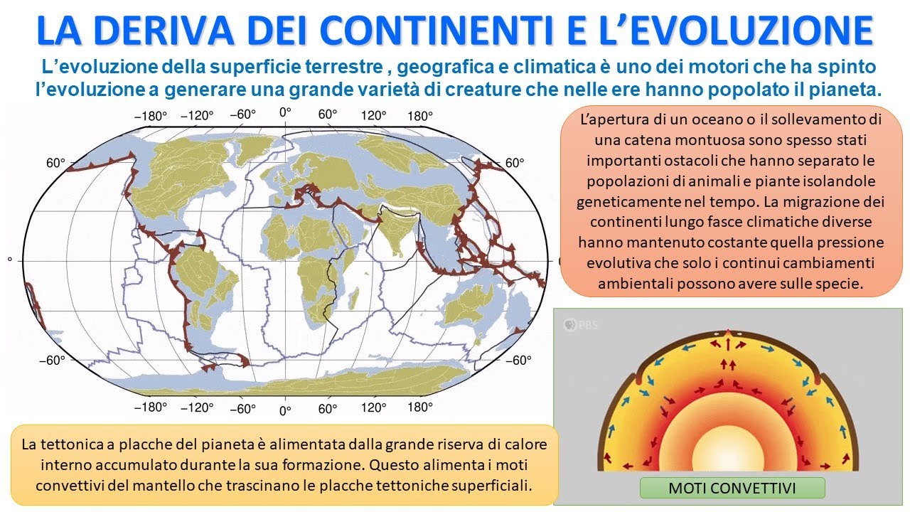 LA DERIVA DEI CONTINENTI E L'EVOLUZIONE BIOLOGICA - YouTube
