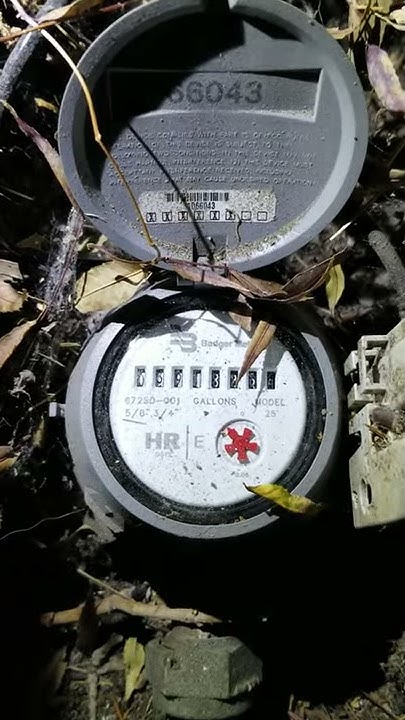 Does my house have a water leak? Low flow gauge moves on the Water Meter 2 - YouTube