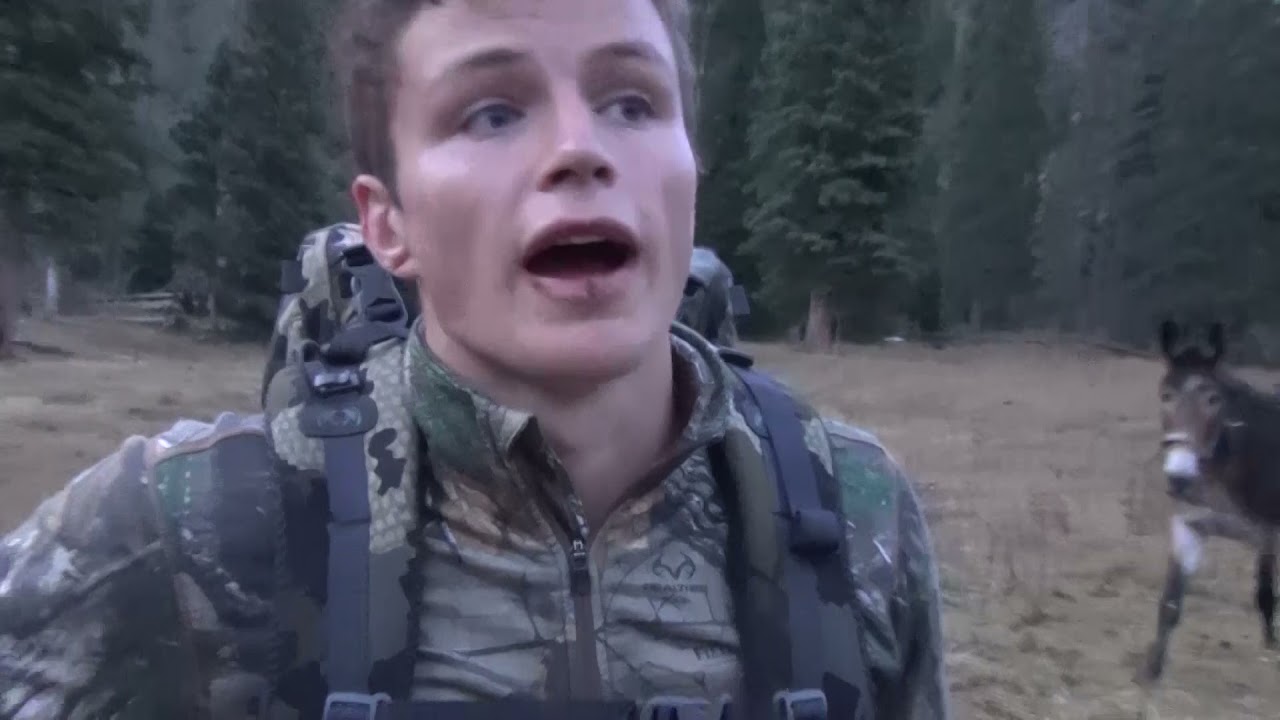 Colorado 2021 Elk Hunting Near Pagosa Springs, Colorado - YouTube