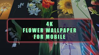 Best 4K Flower Wallpapers For Mobile | 4K Wallpaper | Mobile Background