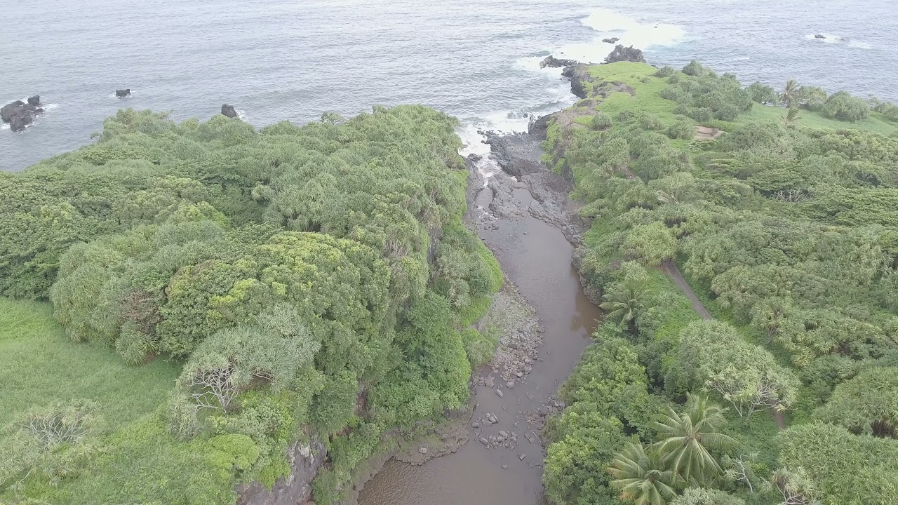 Royalty Free Maui Forest River Delta 2 Drone Stock Video Footage - YouTube