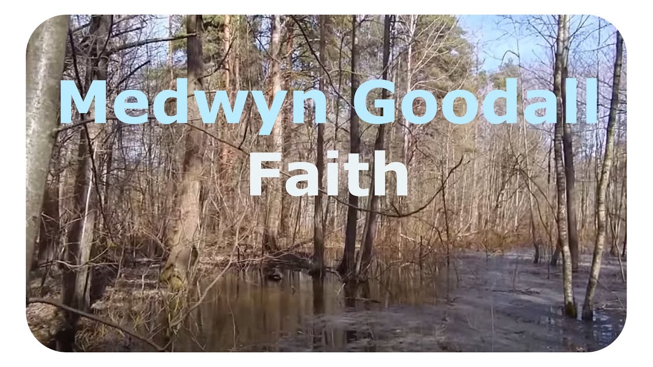🌿🌼 Relaxing Nature Scenes - Spring - Medwyn Goodall - Faith - Весна ...