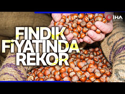 Fındık Yılın Son Ayına Serbest Piyasada Rekor Fiyatla Girdi