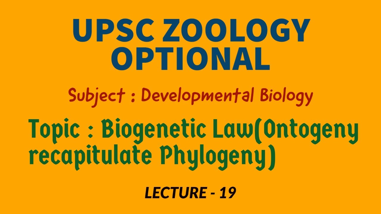UPSC ZOOLOGY-Dev Biology, L-19 | Biogenetic Law(Ontogeny recapitulate ...