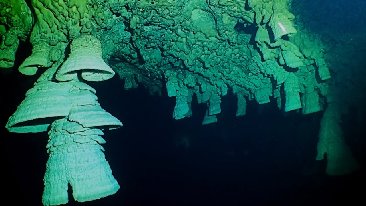 Diving The Hells Bells Cenote (Cenote Zapote) (Most Amazing) - YouTube