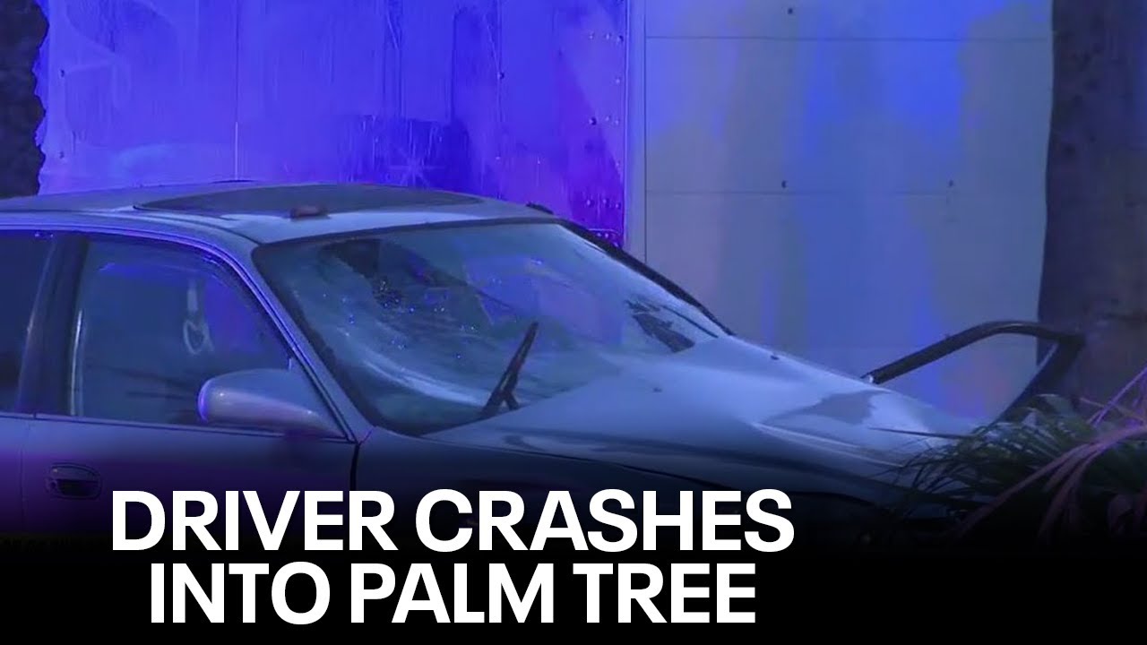 Driver swerves to avoid pedestrian, crashes into palm tree in Glendale ...