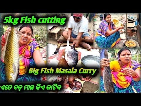 5kg Big Rohi Fish /Ete Bada Machha Kouthu Anila/Giant Fish Cutting And ...