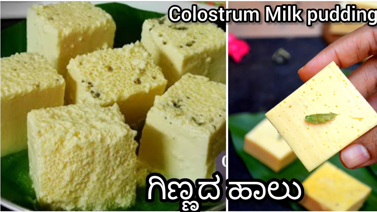 Colostrum Milk Pudding Recipe| चिक के दूध कि रेसिपी| ಗಿಣ್ಣದ ಹಾಲು ಮಾಡುವ ...