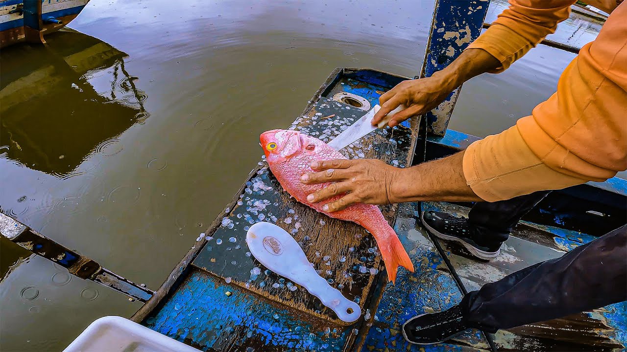 Pescando nos Barcos - Preparei um filezinho frito - YouTube