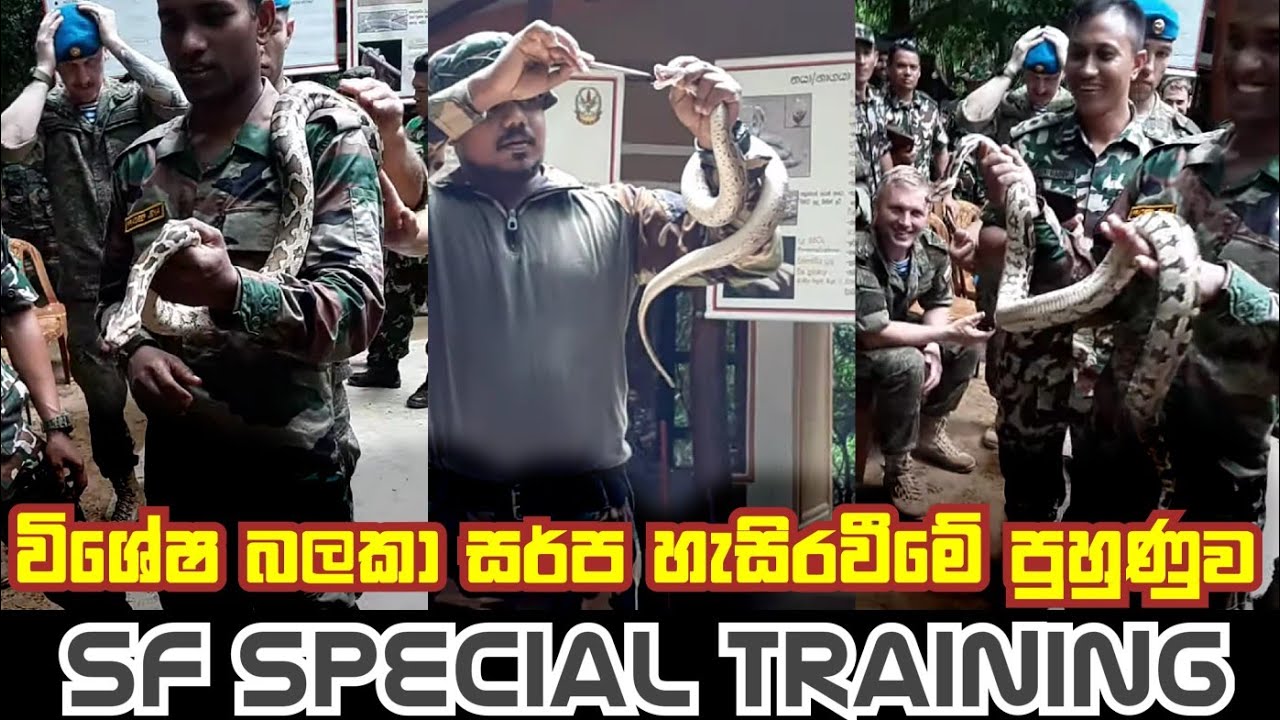 විශේෂ බලකා වනයේ නොනැසී ජීවත්වීමේ පුහුණුව | Special Forces Snake ...