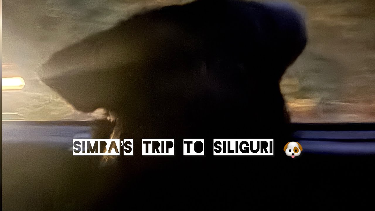 Let’s go….@Simba #Siliguri #journey #dog #love #family - YouTube