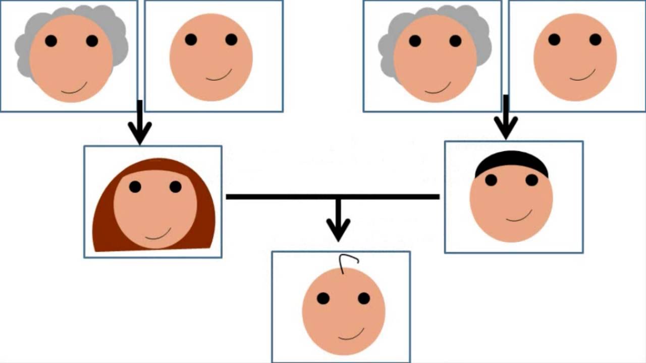 Animovaná Občianka | Funkcie rodiny - YouTube