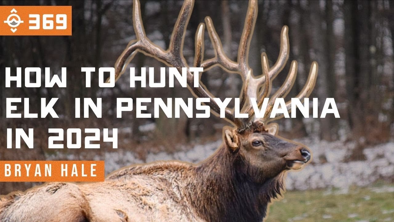 How to Hunt Elk in Pennsylvania in 2024 | East Meets West Hunt - Ep 369 - YouTube