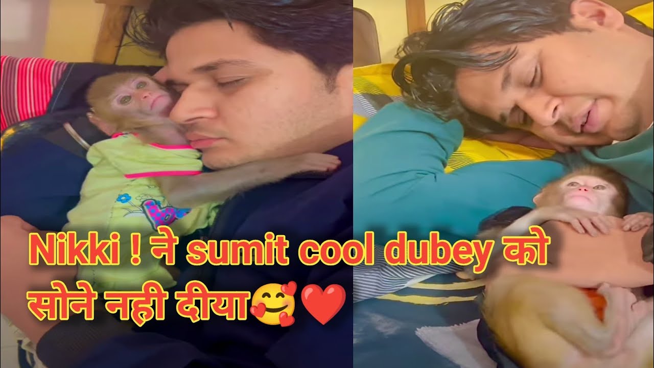 Nikki को देख Sumit Cool Dubey उदास हो गए 😢 // sumit cool lifestyle ...