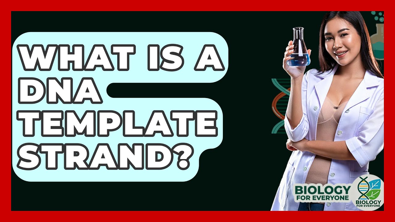 What Is A DNA Template Strand? - Biology For Everyone - YouTube