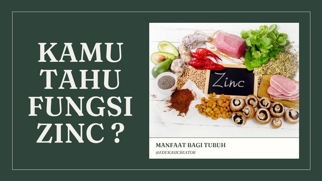 MANFAAT ZINC BAGI TUBUH MANUSIA | SUMBER KESEHATAN TUBUH MANUSIA - YouTube