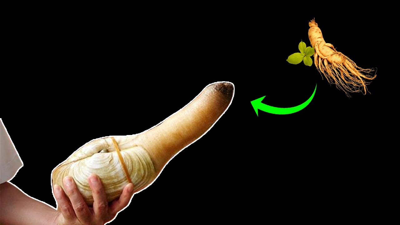 How to Increase P*enis Size Using Herbs? - YouTube