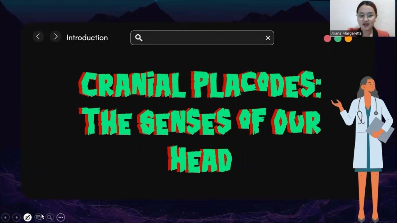 CHAPTER 16: Ectodermal Placodes and the Epidermis - YouTube