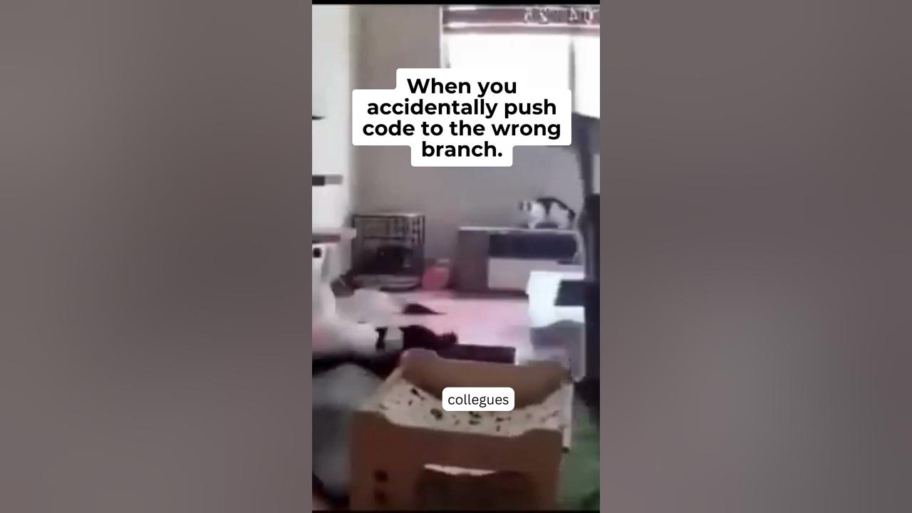 When you accidentally push to the wrong branch and your heart skips a beat. 😱💻 - YouTube