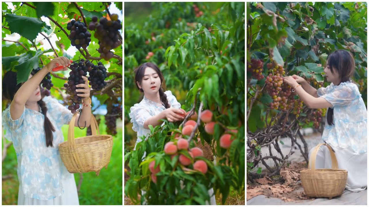 Beautiful Nature with Rural Life - Harvest fruits and cook by the ...