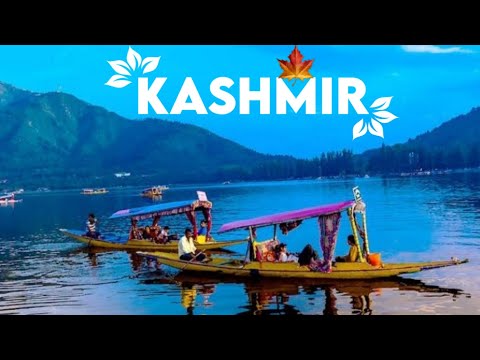 beauty of kashmir status🍁|new kashmir status|dal lake in kashmir🛶|beautiful place status💞|#kashmir