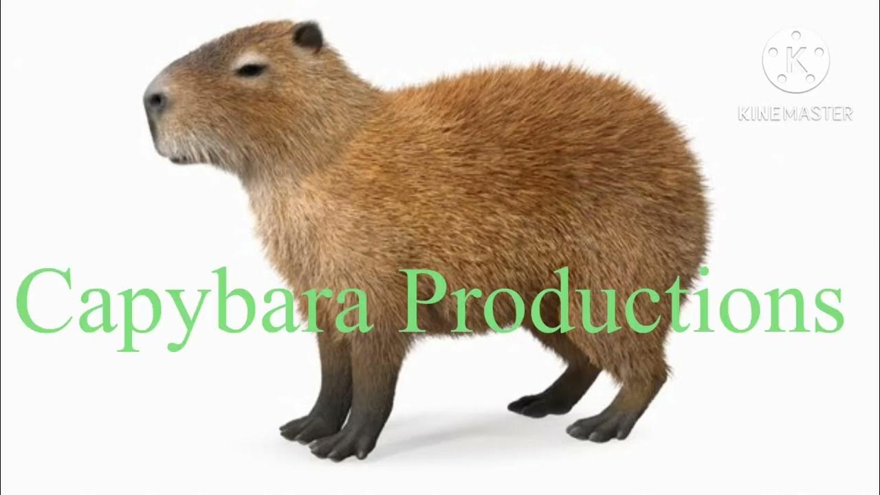 Capybara productions intro - YouTube