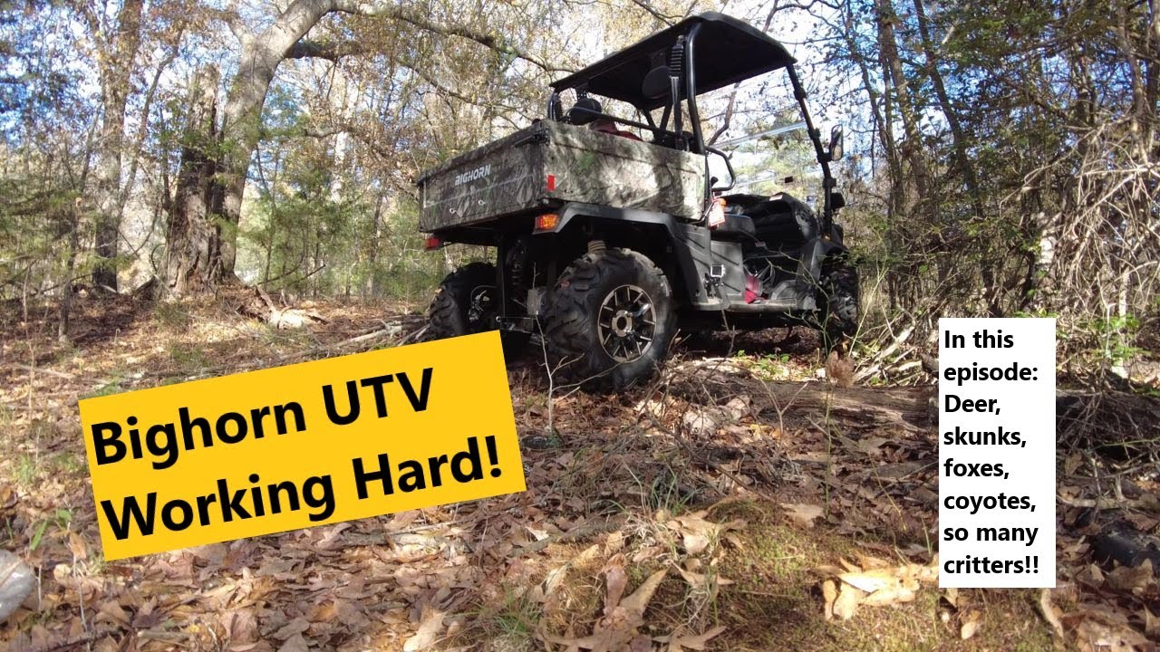 Bighorn UTV working the trail! - YouTube