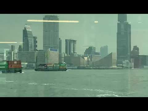 Hong Kong’s Pork Lechon Mamoy Roasted Big Pig Baboy - YouTube