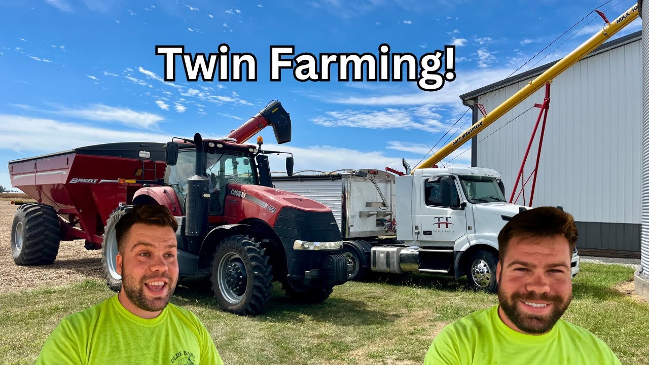 Corn Harvest 2024 with Identical Twins! - YouTube