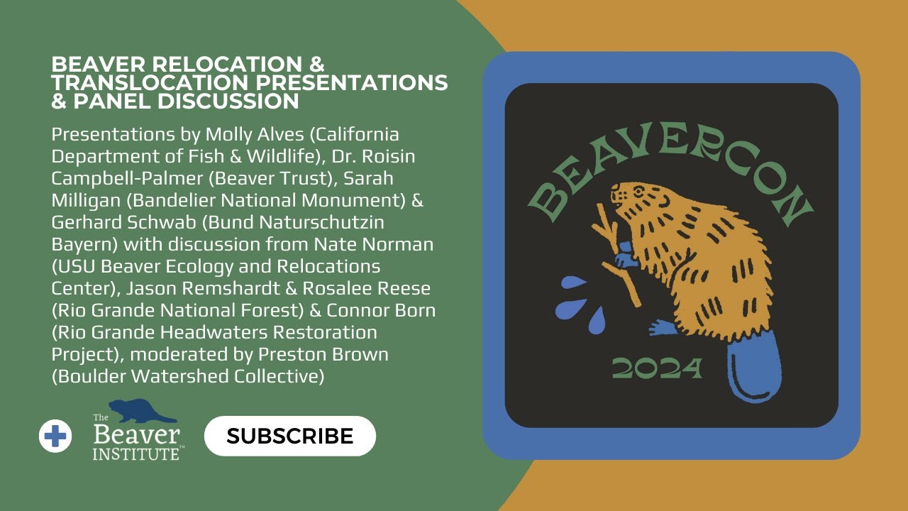 Beaver Relocation & Translocation Presentations & Panel Discussion ...