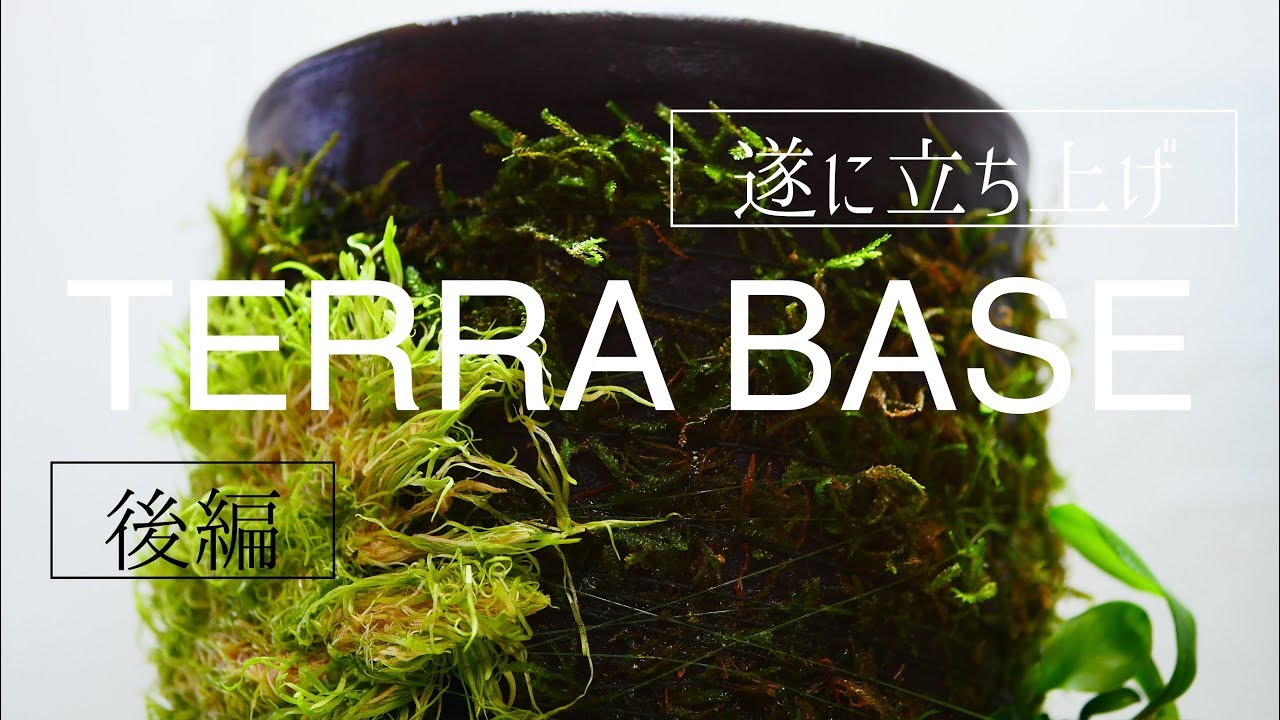 [TERRA BASE]遂に立ち上げ！[後編] - YouTube