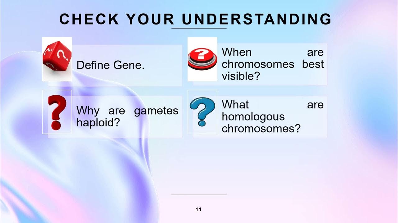 iGCSE- Inheritance - YouTube