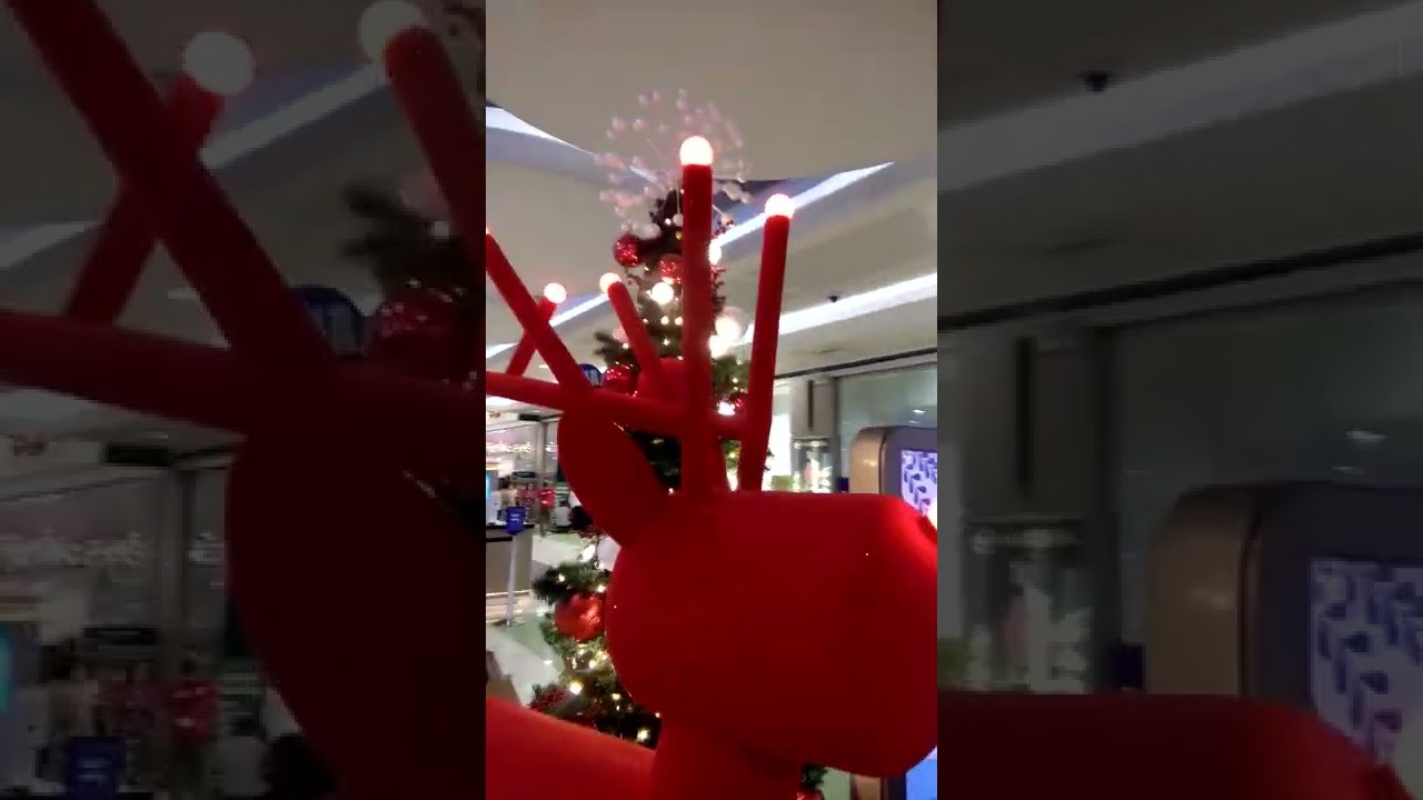 Mascoat rain dear #short - YouTube