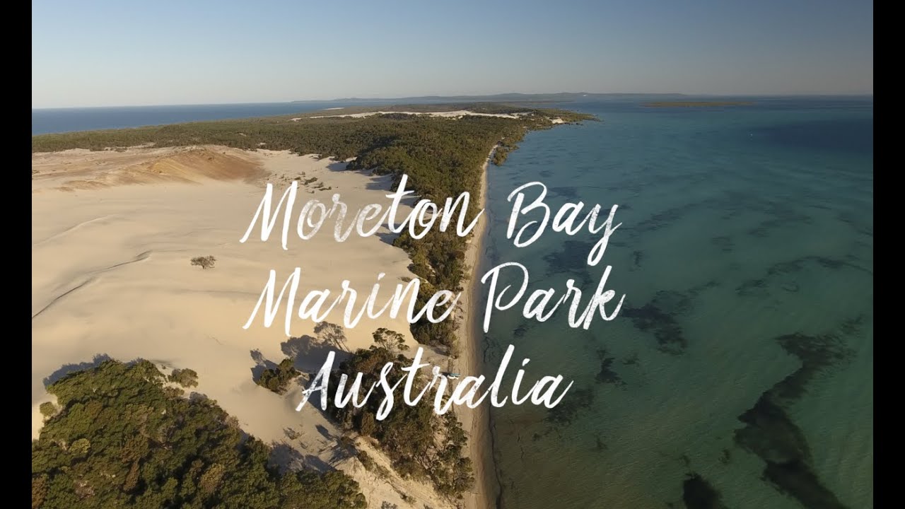 Moreton Bay Marine Park - YouTube