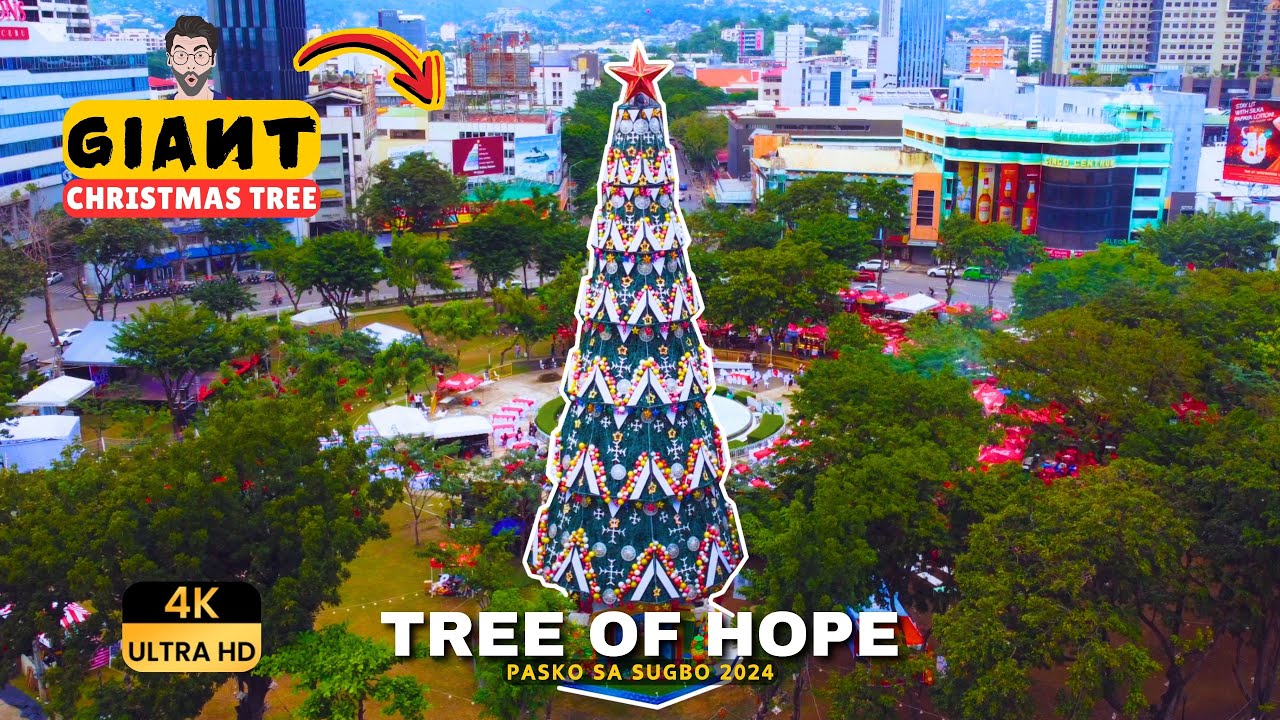 GIANT CHRISTMAS TREE OF HOPE Pasko sa Sugbo 2024🎄Aerial Drone Shots 4K ...