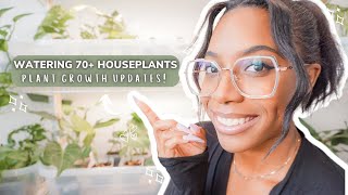 Watering 70+ House Plants In My Ikea Greenhouse Cabinets | Houseplant Tour & Plant Updates