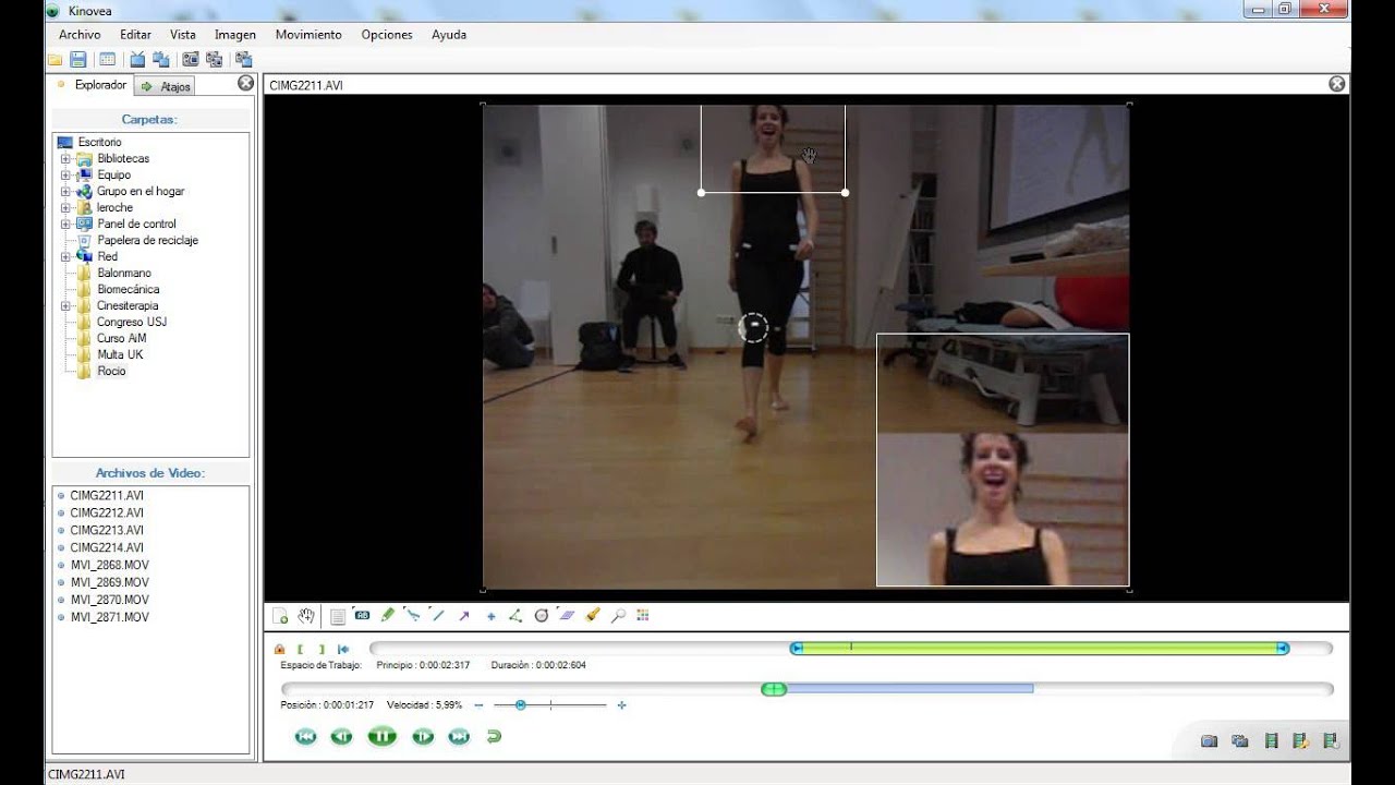 Descargar kinovea - delfalas