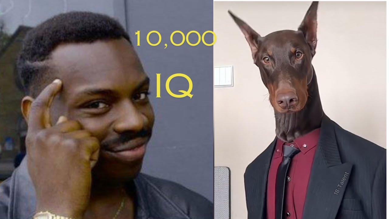1000 IQ Animals | Satisfying Video That Will Amaze You! 🐾🤯 - YouTube
