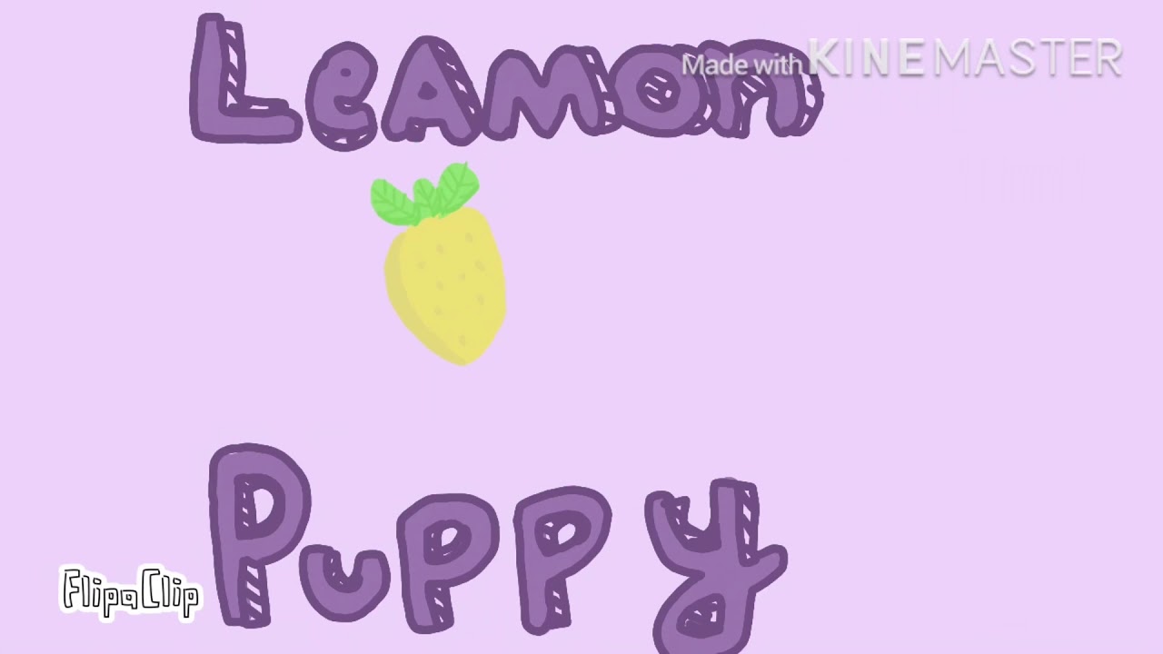 Intro gift for leamon puppy! - YouTube