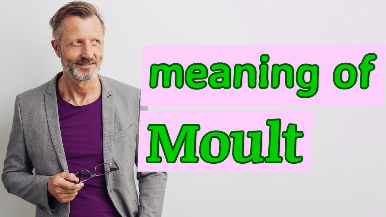 Moult | Meaning of moult - YouTube