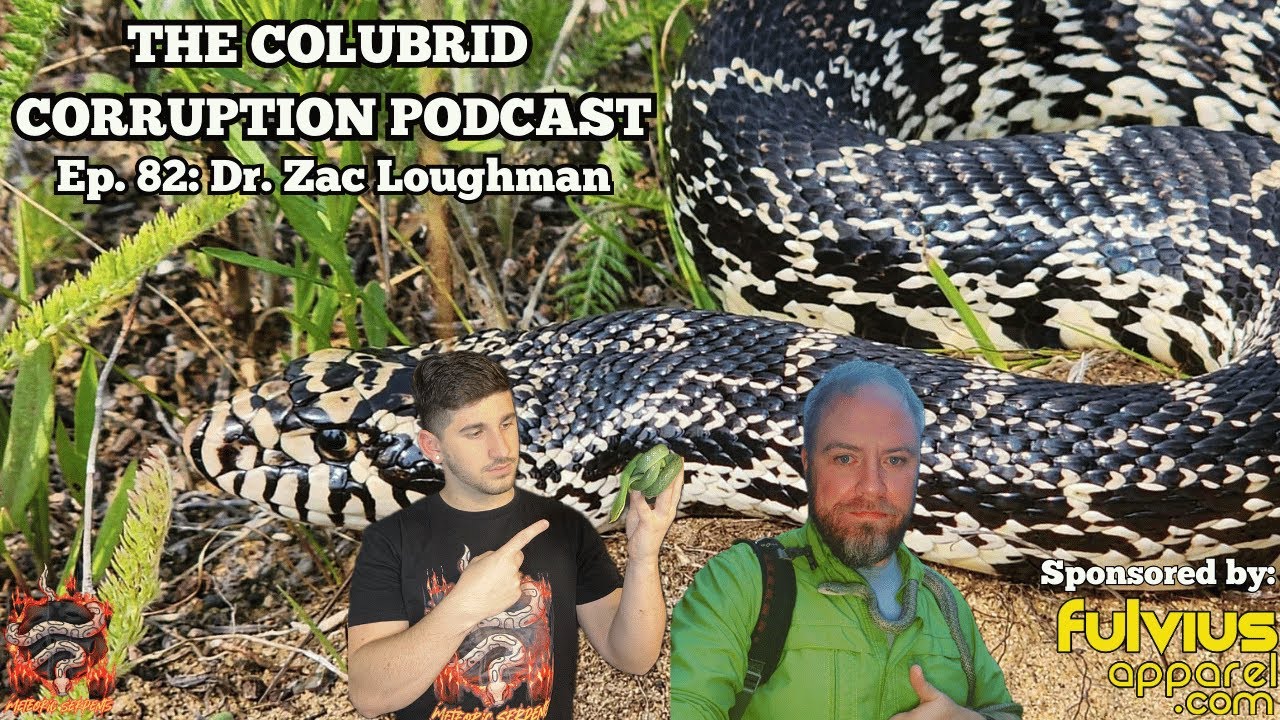 Hard Hobby Questions w/ an Academic - Dr. Zac Loughman | The Colubrid ...
