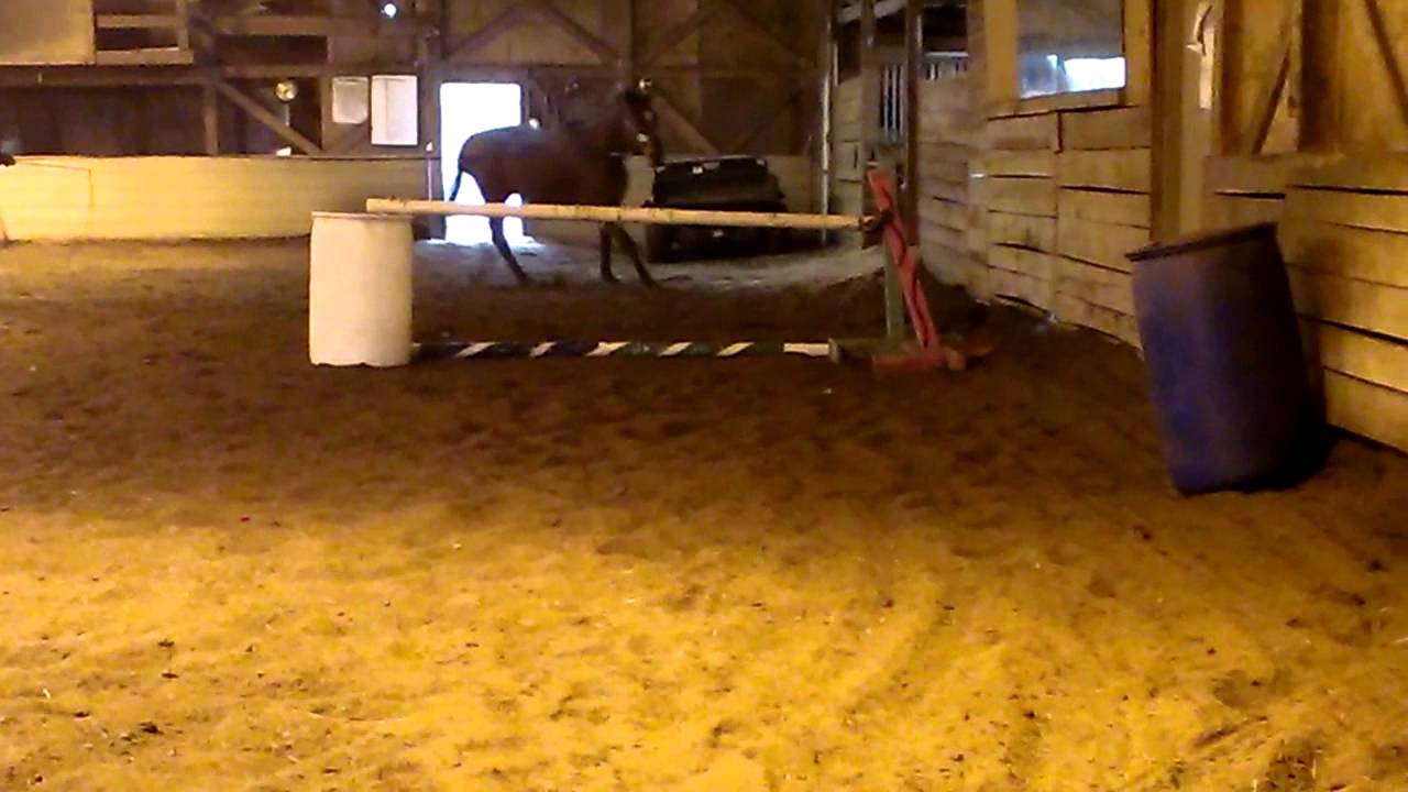 Shrek Jumping - YouTube