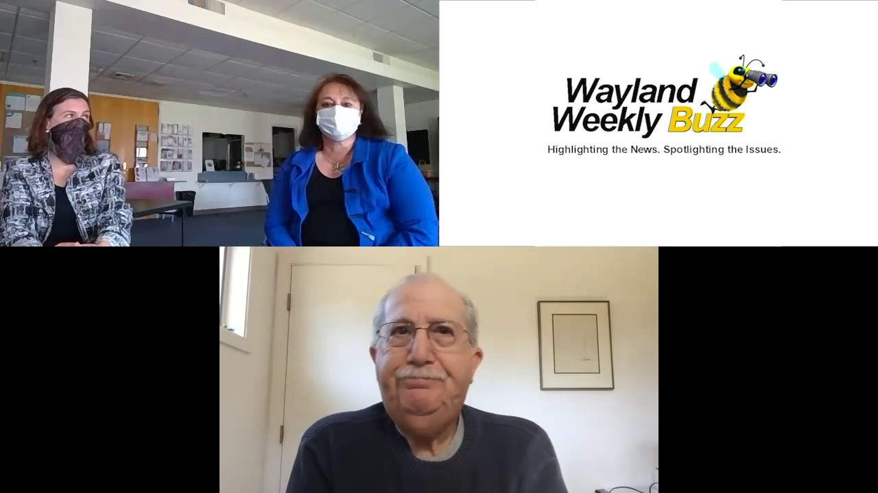 Wayland Weekly Buzz May 13, 2020 - YouTube