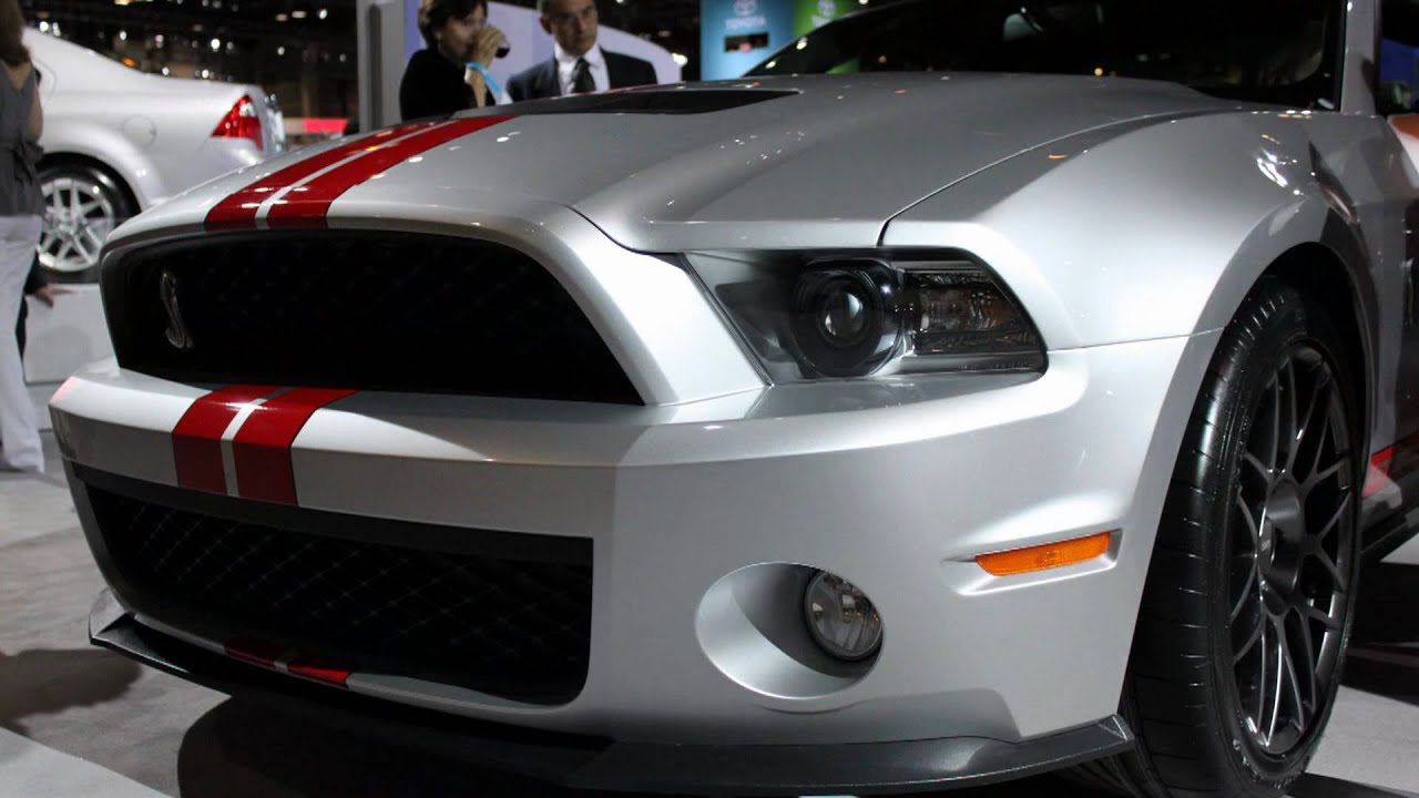 2010 Chicago Auto Show First Look for Charity - YouTube