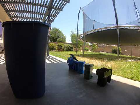 Trash Day Real Life 3 - YouTube