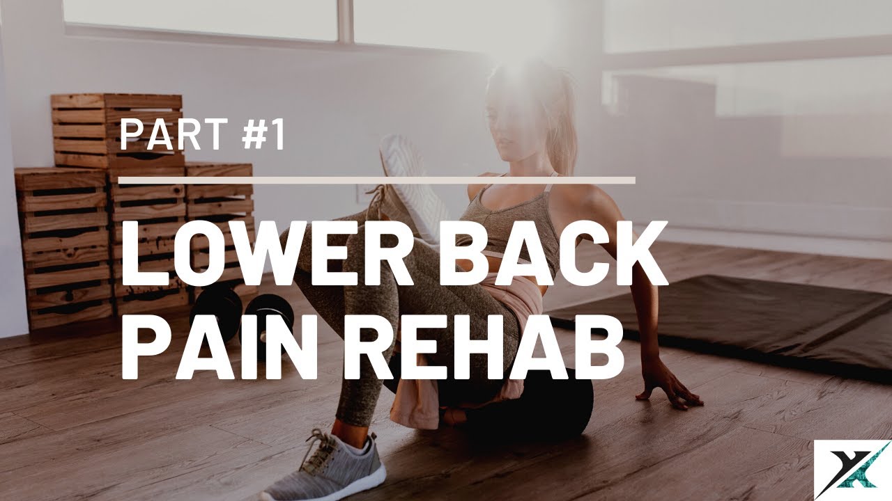 EXERCISES TO PREVENT LOWER BACK PAIN | Rehab Series part 1 - Rehab ...