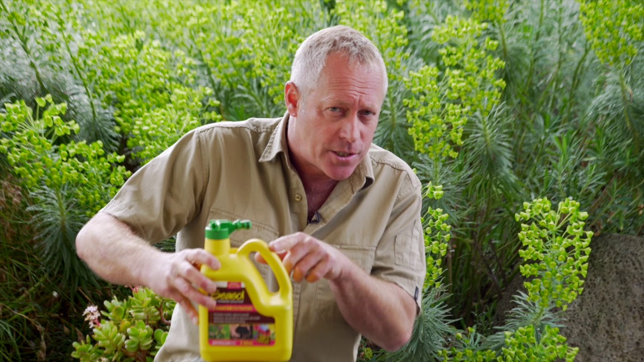 Seasol Products with Nigel Ruck - Seasol Advanced - YouTube