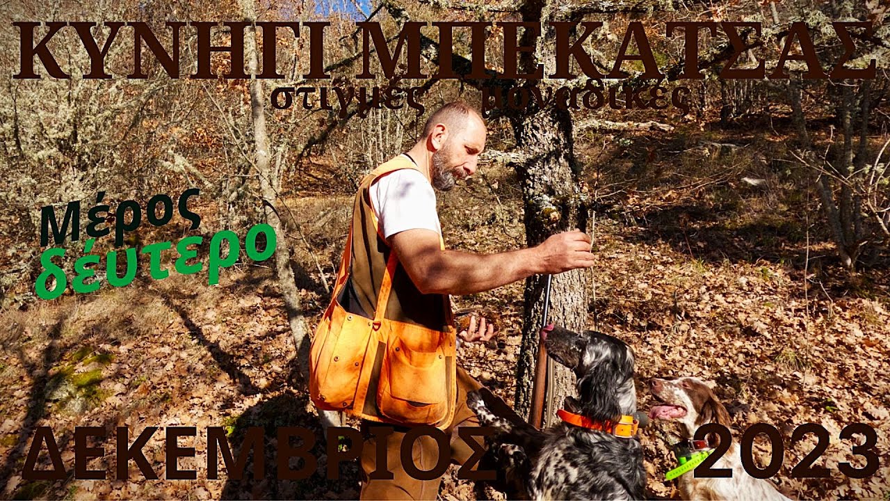 ΚΥΝΗΓΙ ΜΠΕΚΑΤΣΑΣ στιγμές μοναδικές ΔΕΚΕΒ23Β-WOODCOCK HUNTING-CACCIA ...