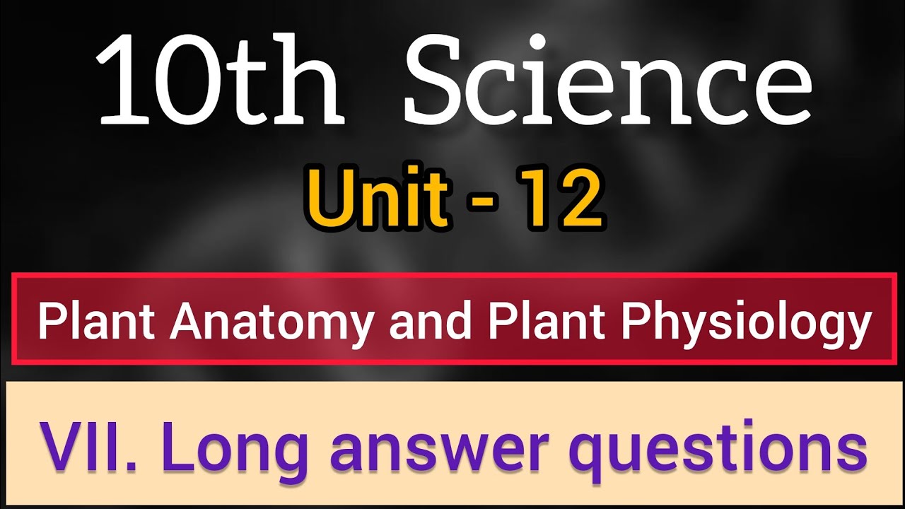 10th Science unit 12 Plant Anatomy and Plant Physiology long answer ...